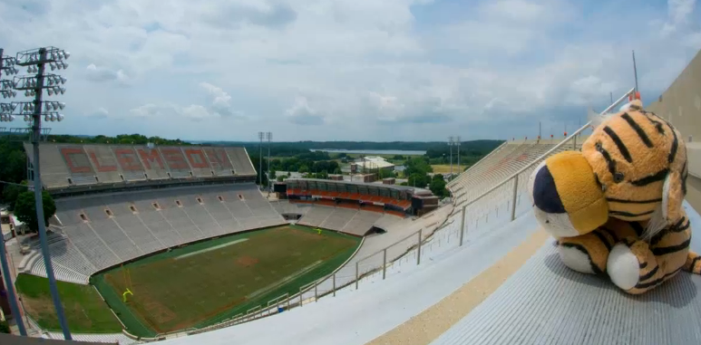 WATCH: The Story behind Lachlan the Tiger | TigerNet