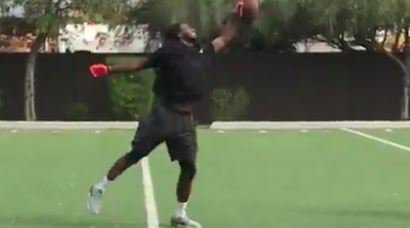 WATCH: Mike Williams with impressive one-handed catch | TigerNet